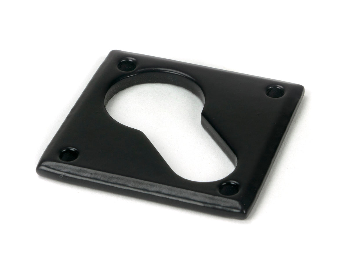 Diamond Euro Escutcheon – From The Anvil
